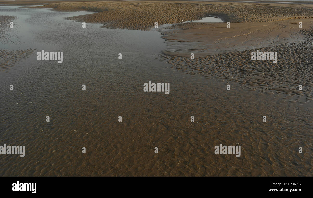 Evening sun view dry braided stream channel entering wide shallow water ...