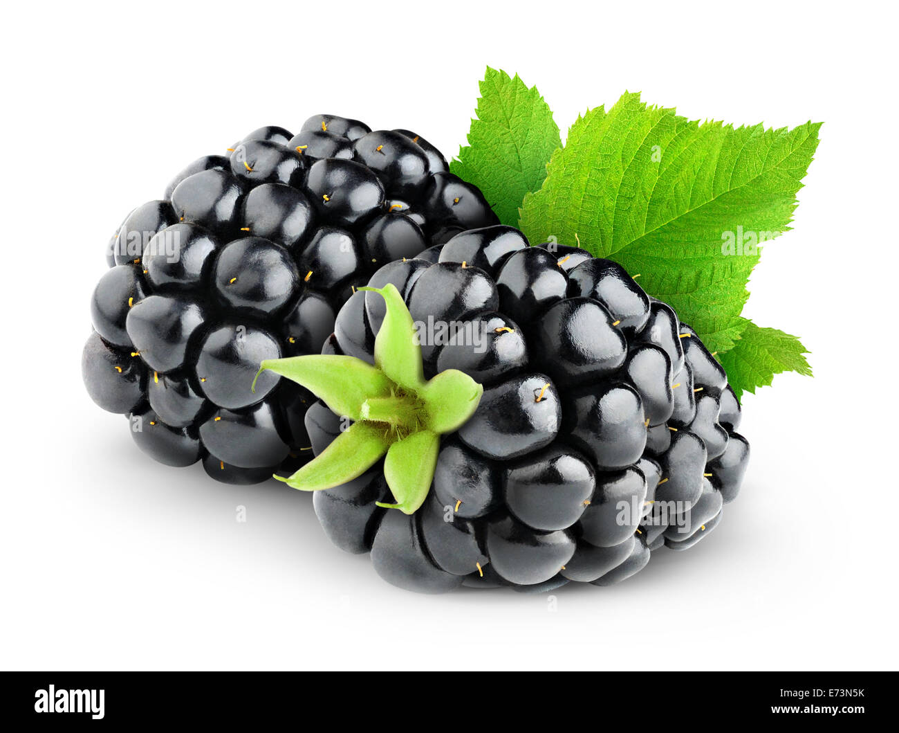 Two blackberries on white background Stock Photo - Alamy