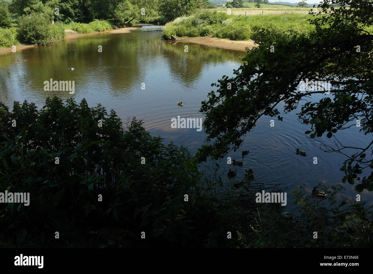 Csc background hi-res stock photography and images - Alamy