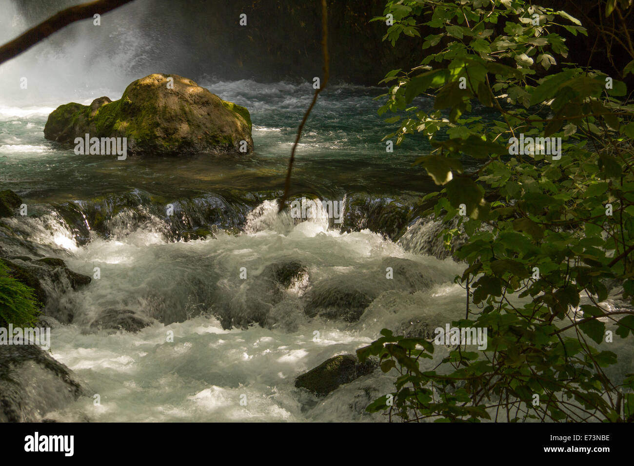 River Hermon ,Banias Nature Reserve in northern Israel Stock Photo - Alamy
