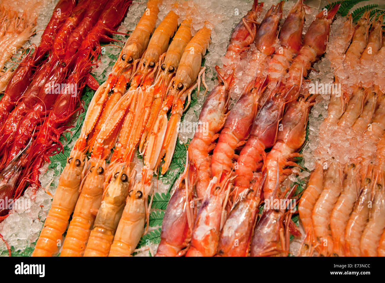 Langoustine on display hi-res stock photography and images - Alamy