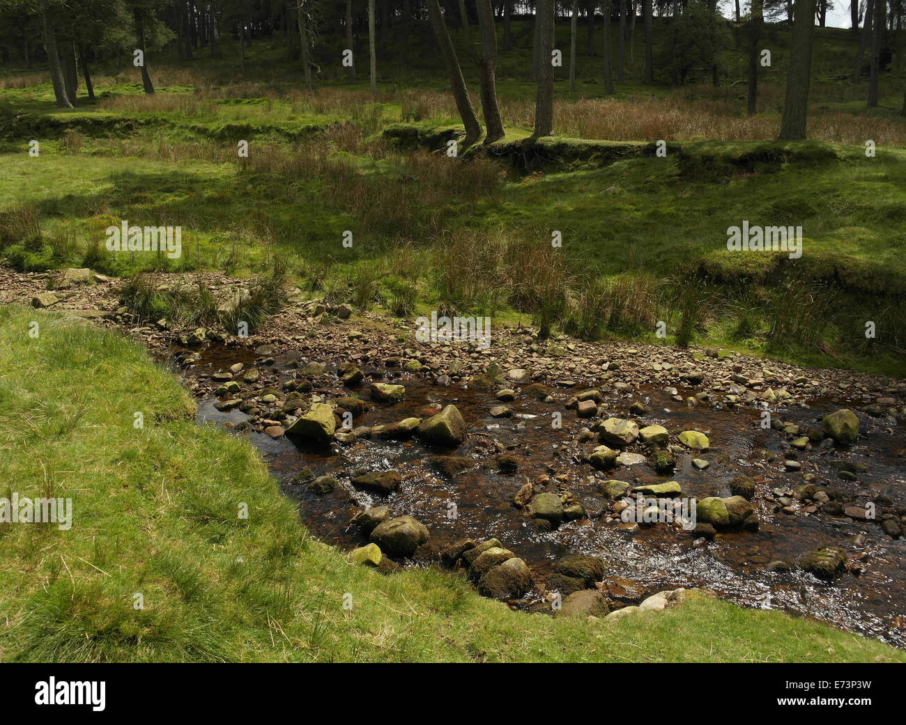Sunny view stony channel Marshaw Wyre River cutting through riverbanks ...