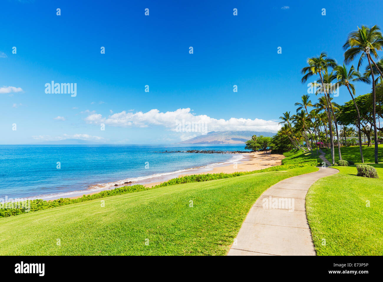 Tropical Beach and Path with Palm Trees in Hawaii Stock Photo - Alamy