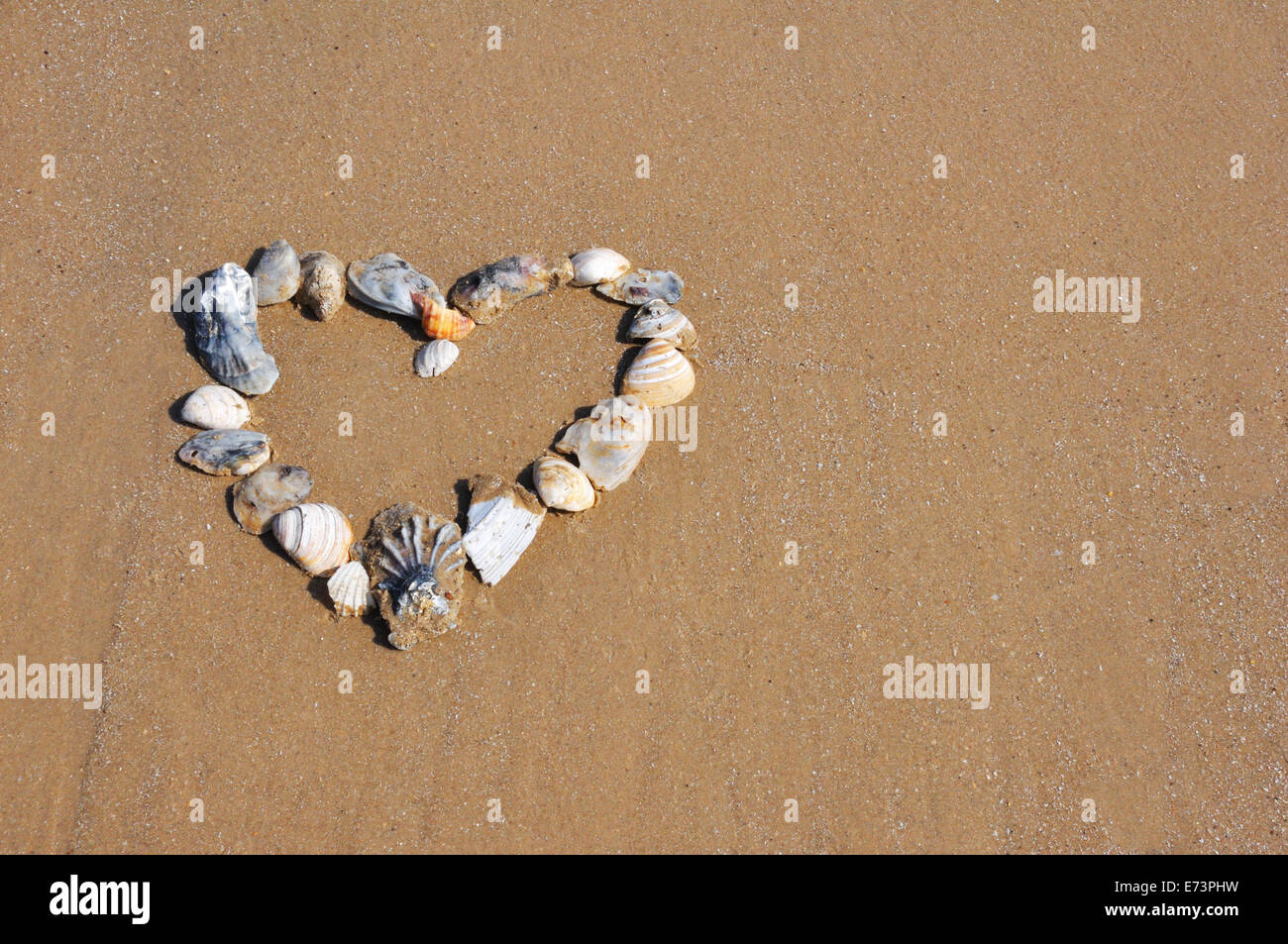 Heart made shells on beach hi-res stock photography and images - Alamy