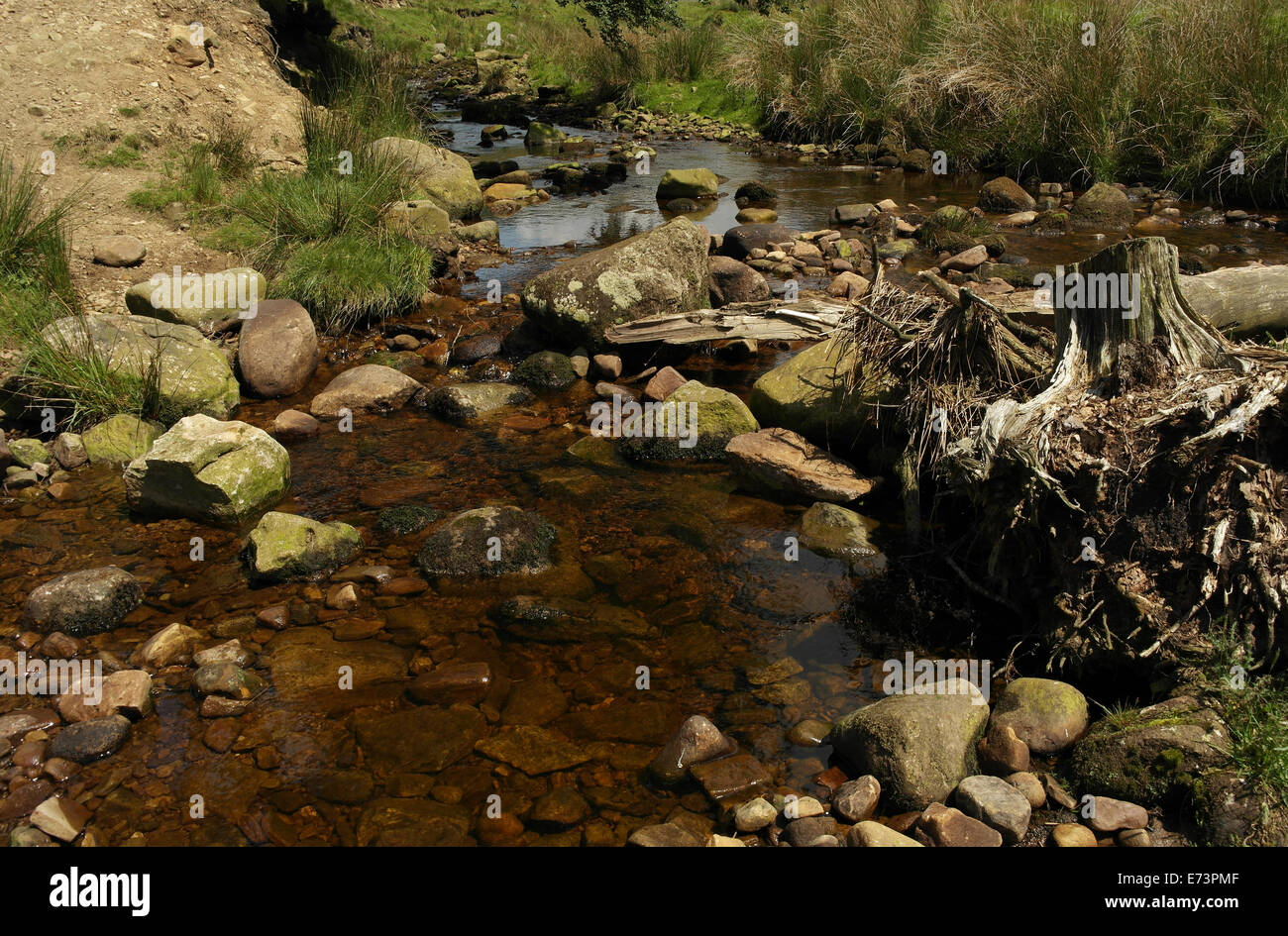 Angular pebbles hi-res stock photography and images - Alamy