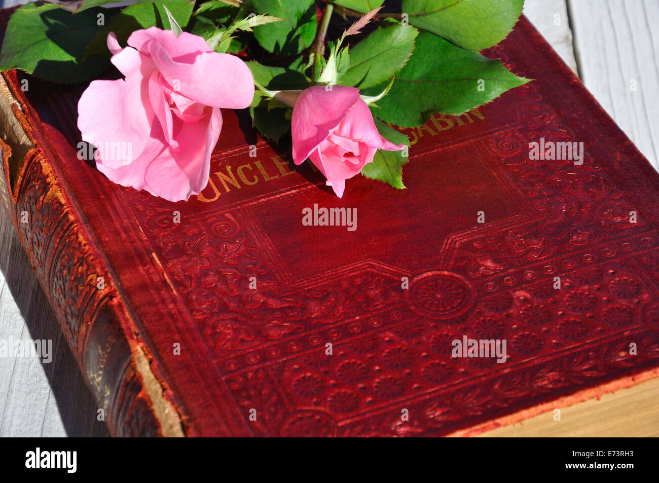 Old book and rose Stock Photo - Alamy