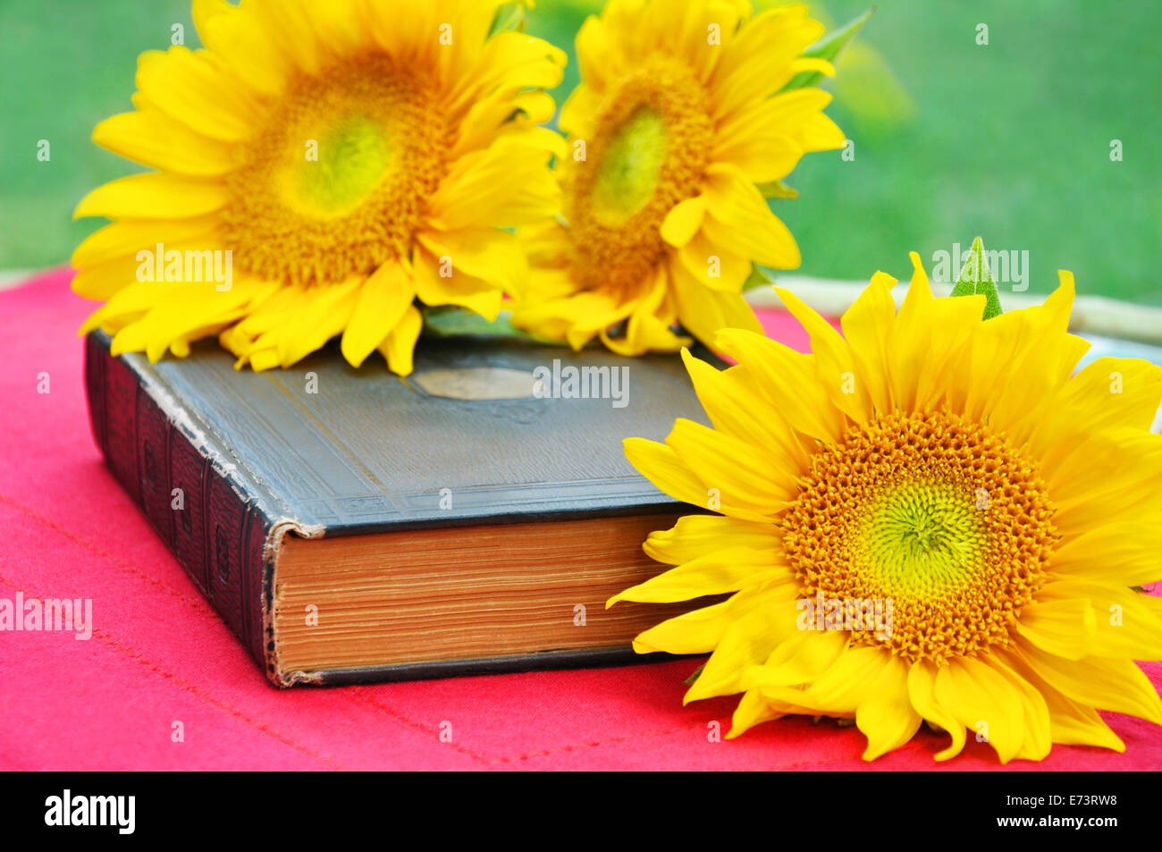 Old book and sunflowers Stock Photo - Alamy