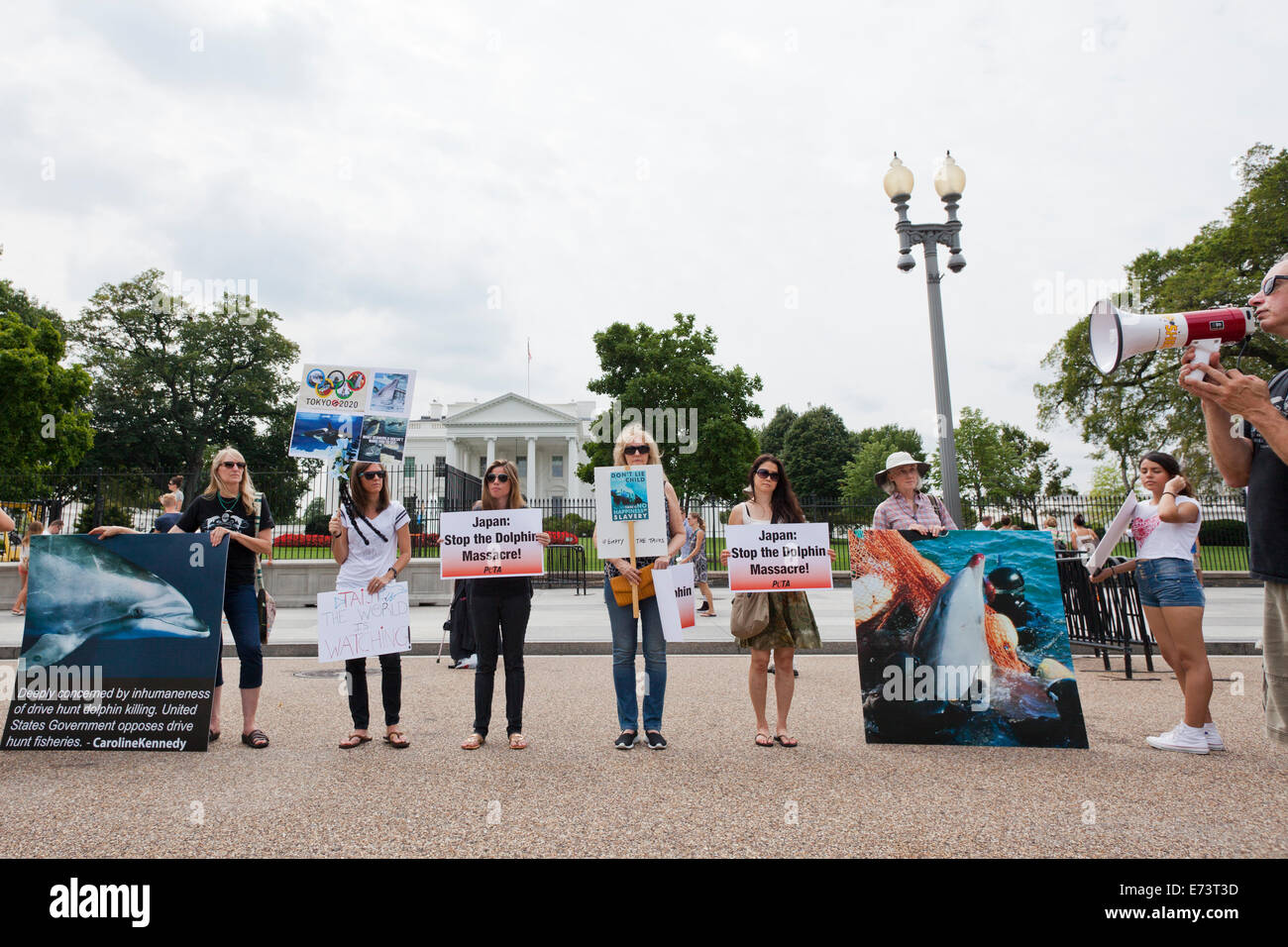 Washington dc peta hi-res stock photography and images - Alamy