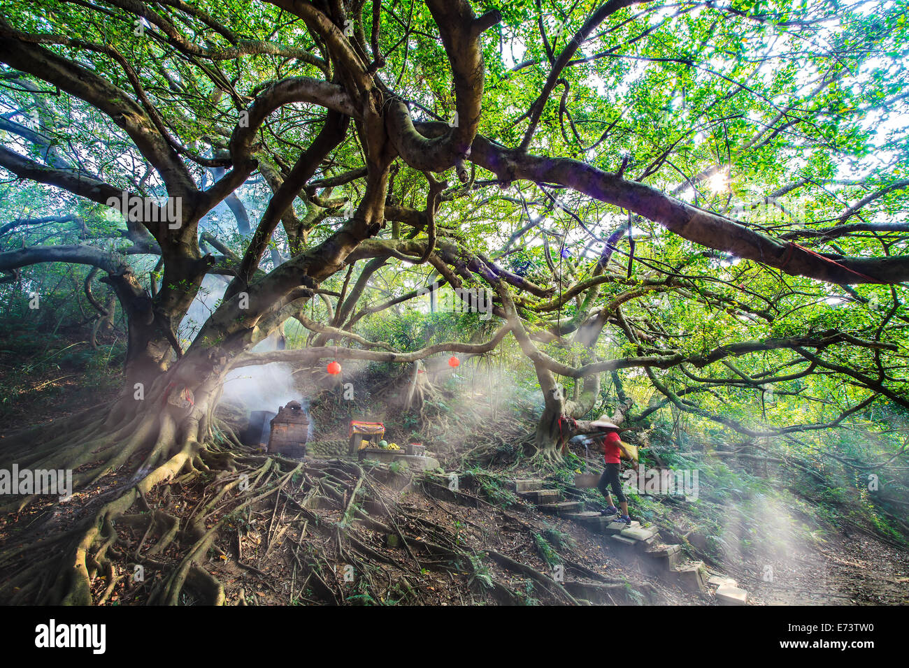 Miaoli, Taiwan - August 4, 2014: Old stone made temple at Miaoli ...