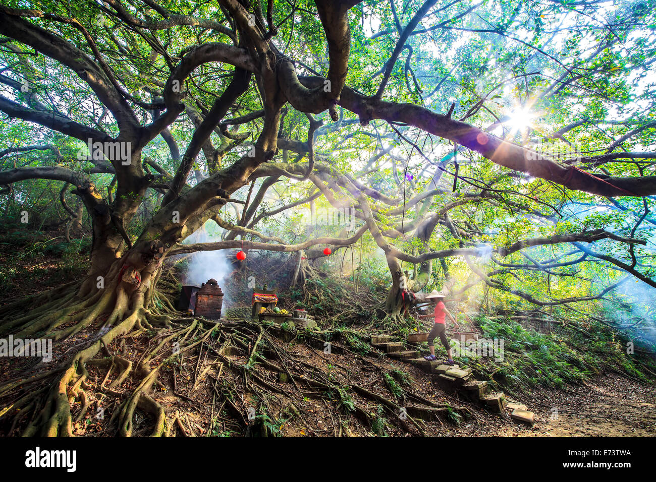 Miaoli, Taiwan - August 4, 2014: Old stone made temple at Miaoli ...