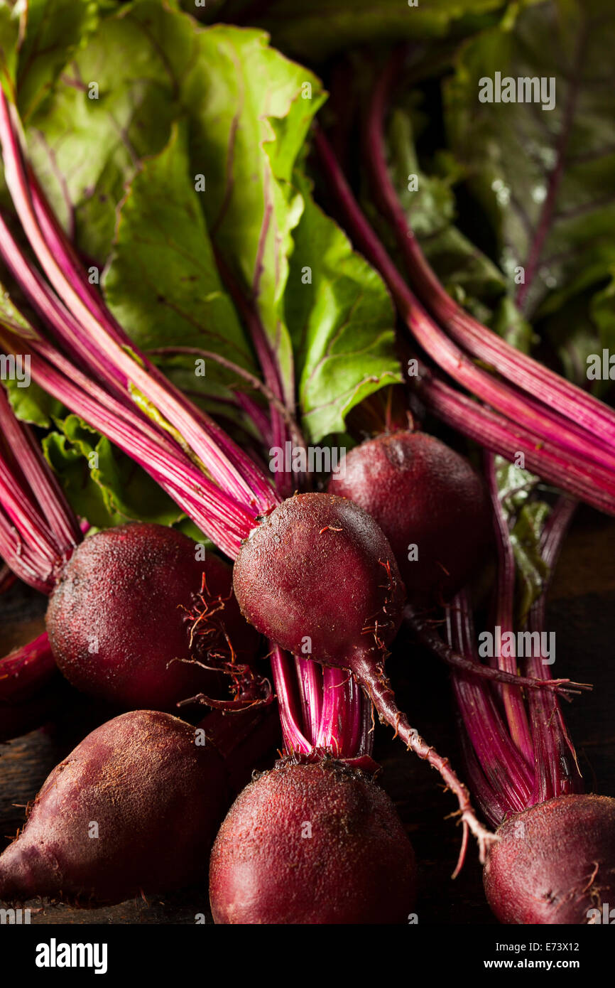 Raw Organic Red Beets Ready To Eat Stock Photo - Alamy