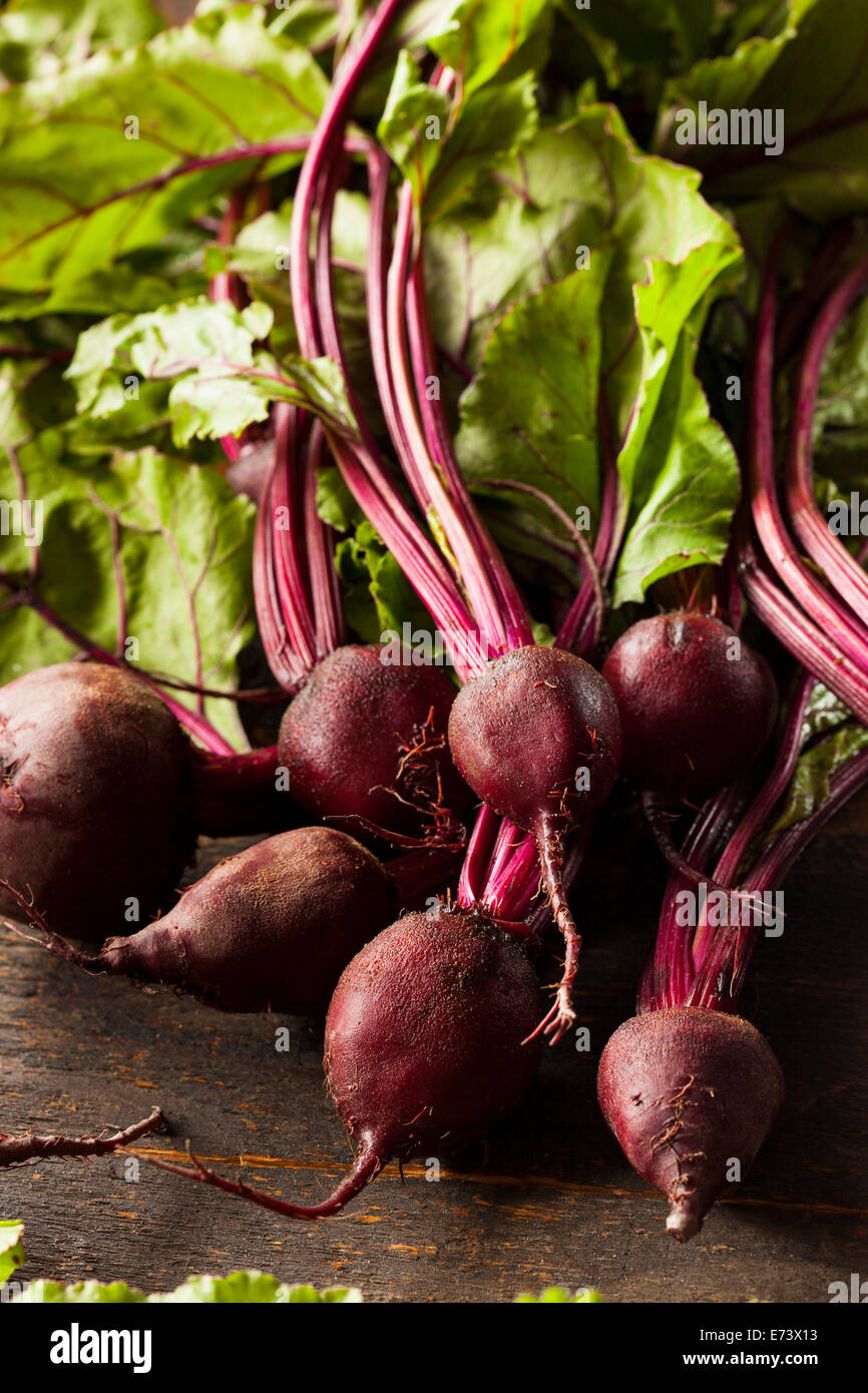 Raw Organic Red Beets Ready To Eat Stock Photo - Alamy