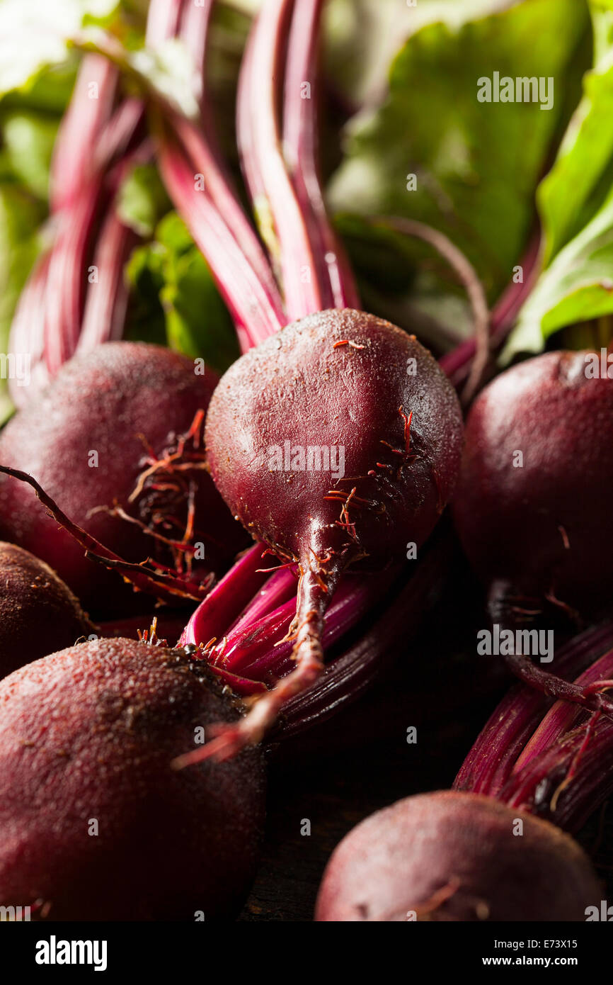 Raw Organic Red Beets Ready To Eat Stock Photo - Alamy