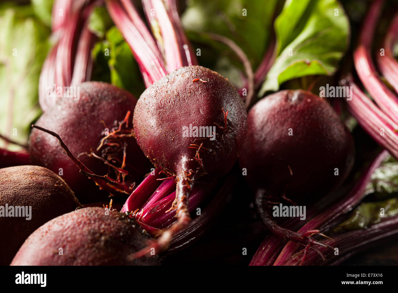 Raw Organic Red Beets Ready To Eat Stock Photo - Alamy