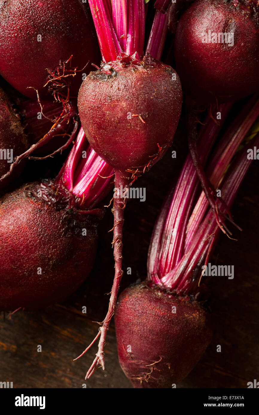 Raw Organic Red Beets Ready To Eat Stock Photo - Alamy
