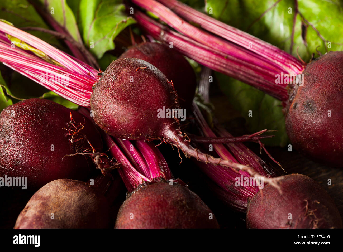 Raw Organic Red Beets Ready To Eat Stock Photo - Alamy