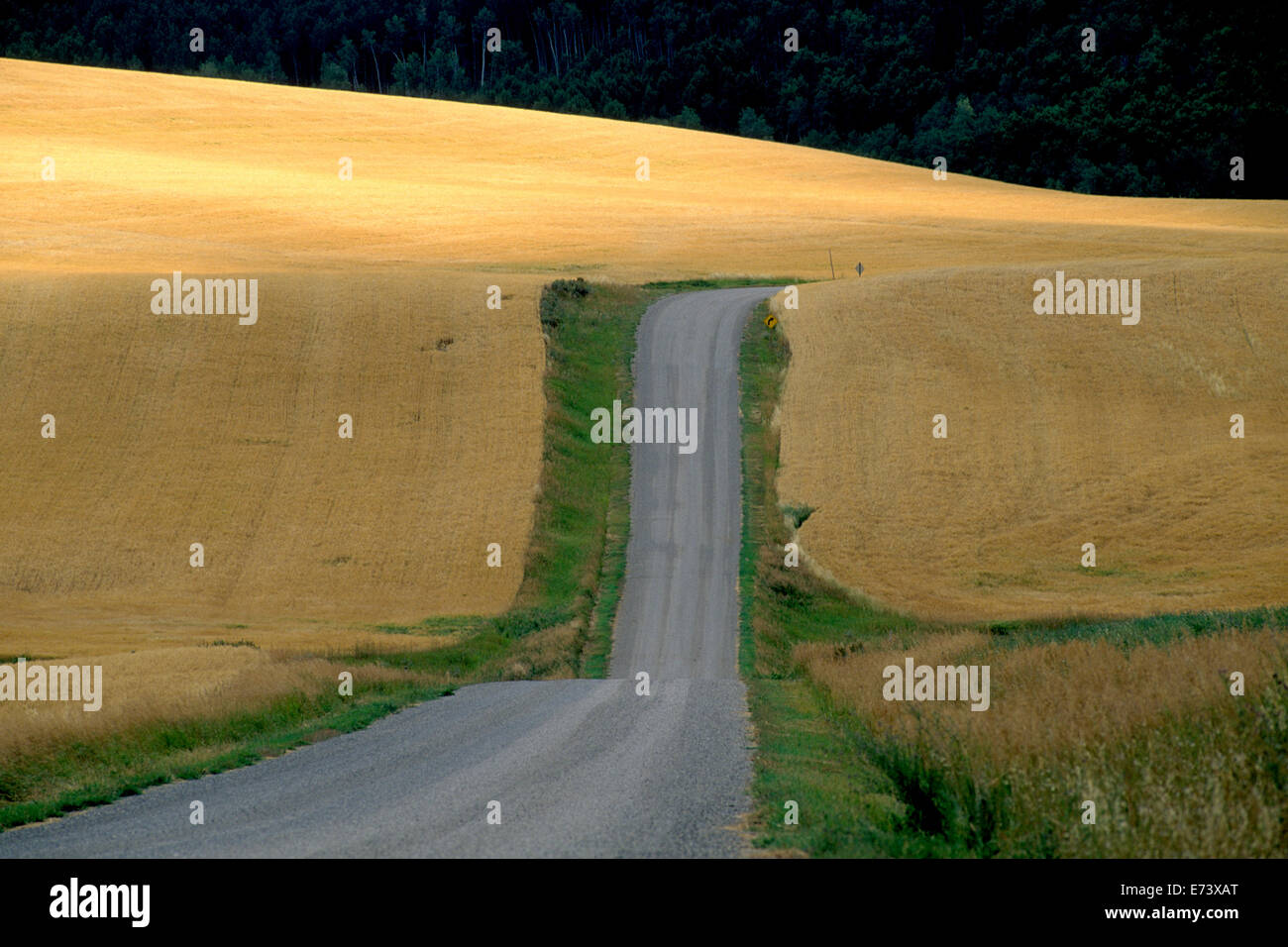 Country road agricultural fields hi-res stock photography and images ...