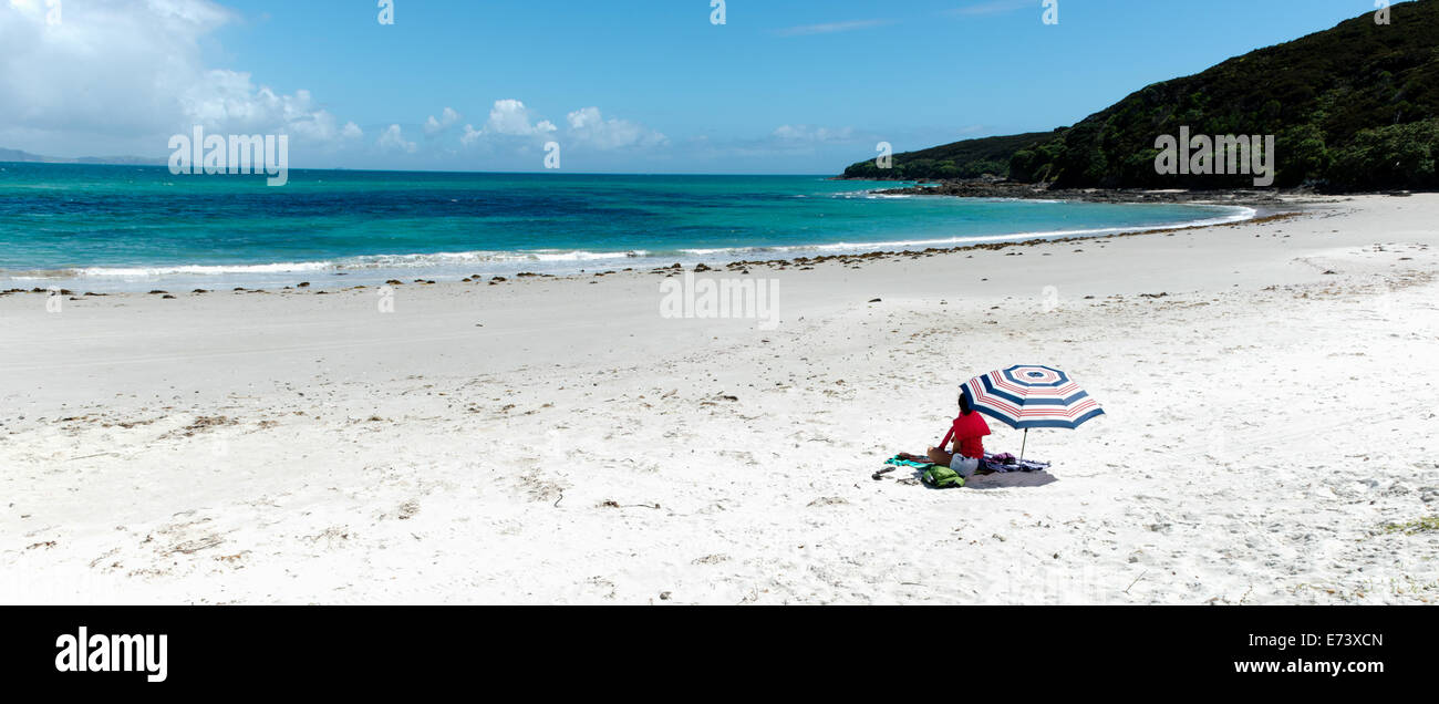 A lone tourist enjoys the view on Rangiputa Beach, Kari Kari Peninsula ...