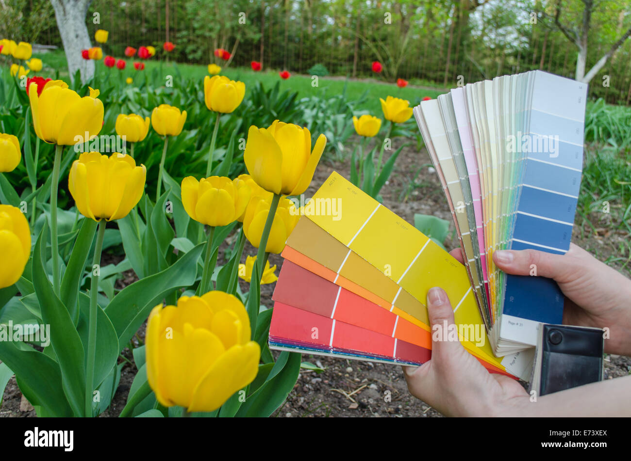 color palette shades of cards choose from the color of yellow tulips ...