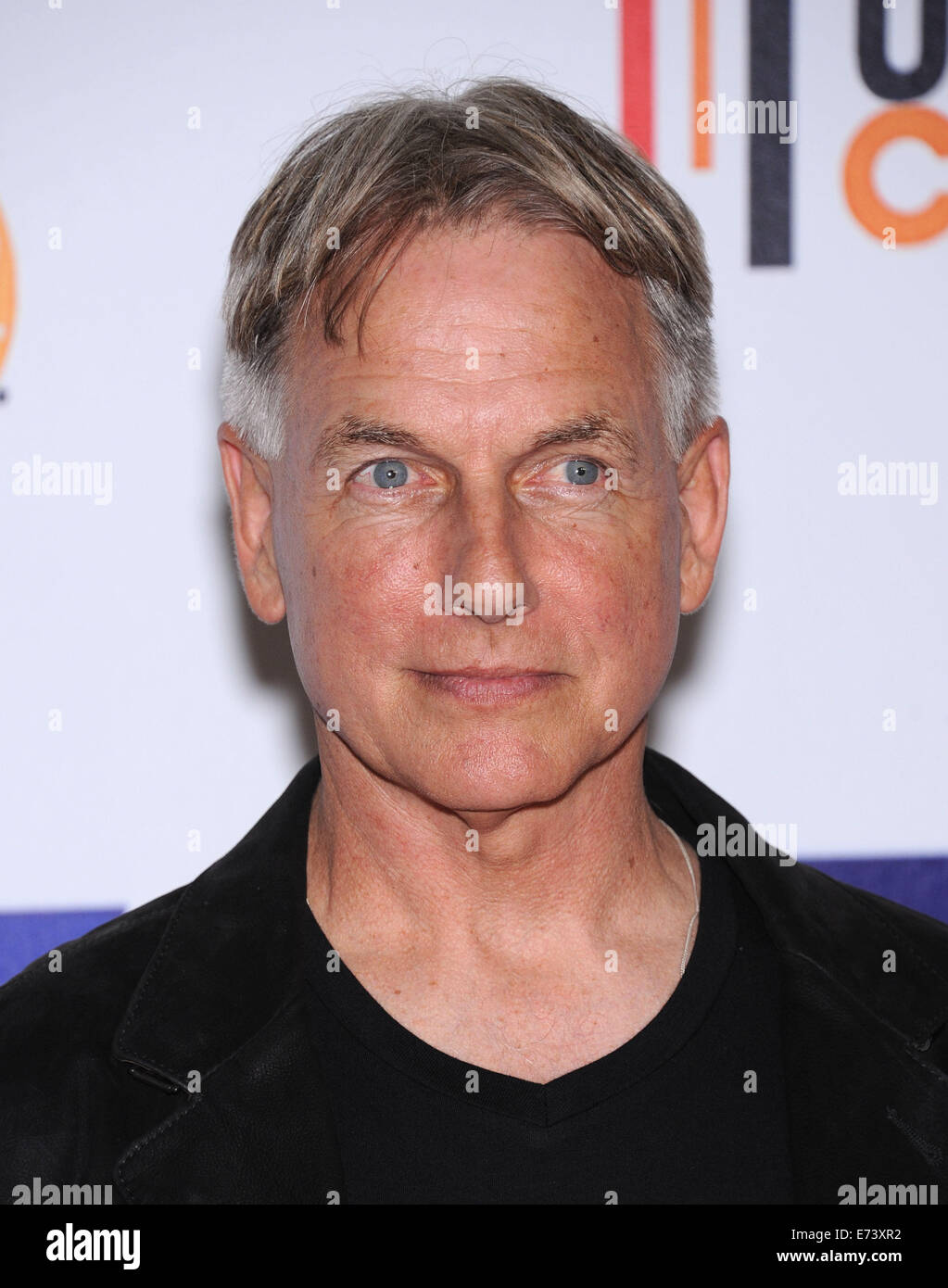 Alexander Harmon's Instagram, Twitter & Facebook on IDCrawl