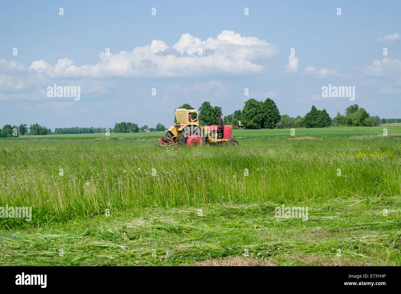 Driving through grass hi-res stock photography and images - Alamy