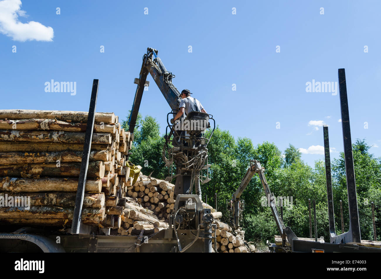 Man loading felled tree hi-res stock photography and images - Alamy
