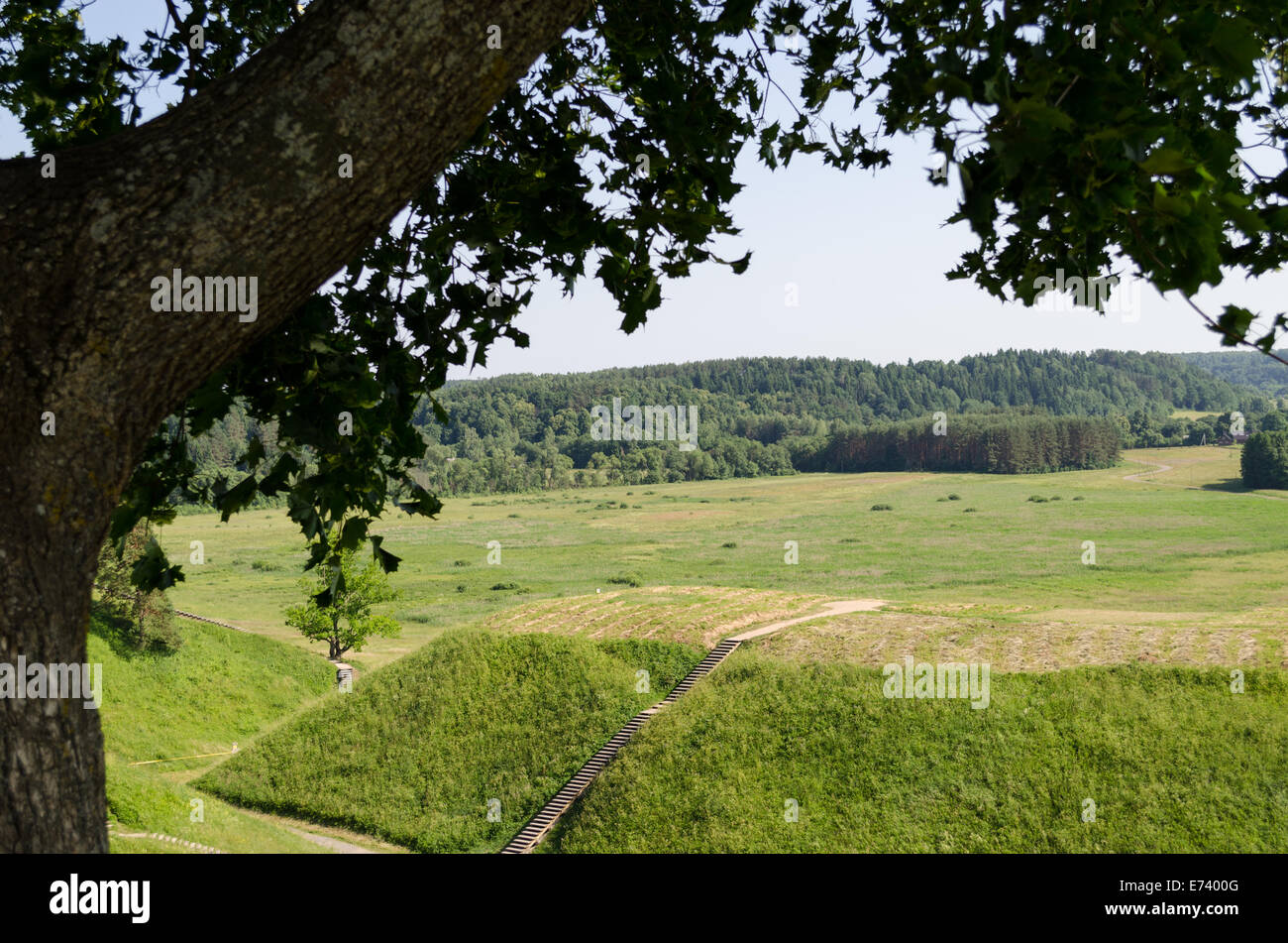 Maple tree trunk leaves and landscape of hill mound with stairs and ...