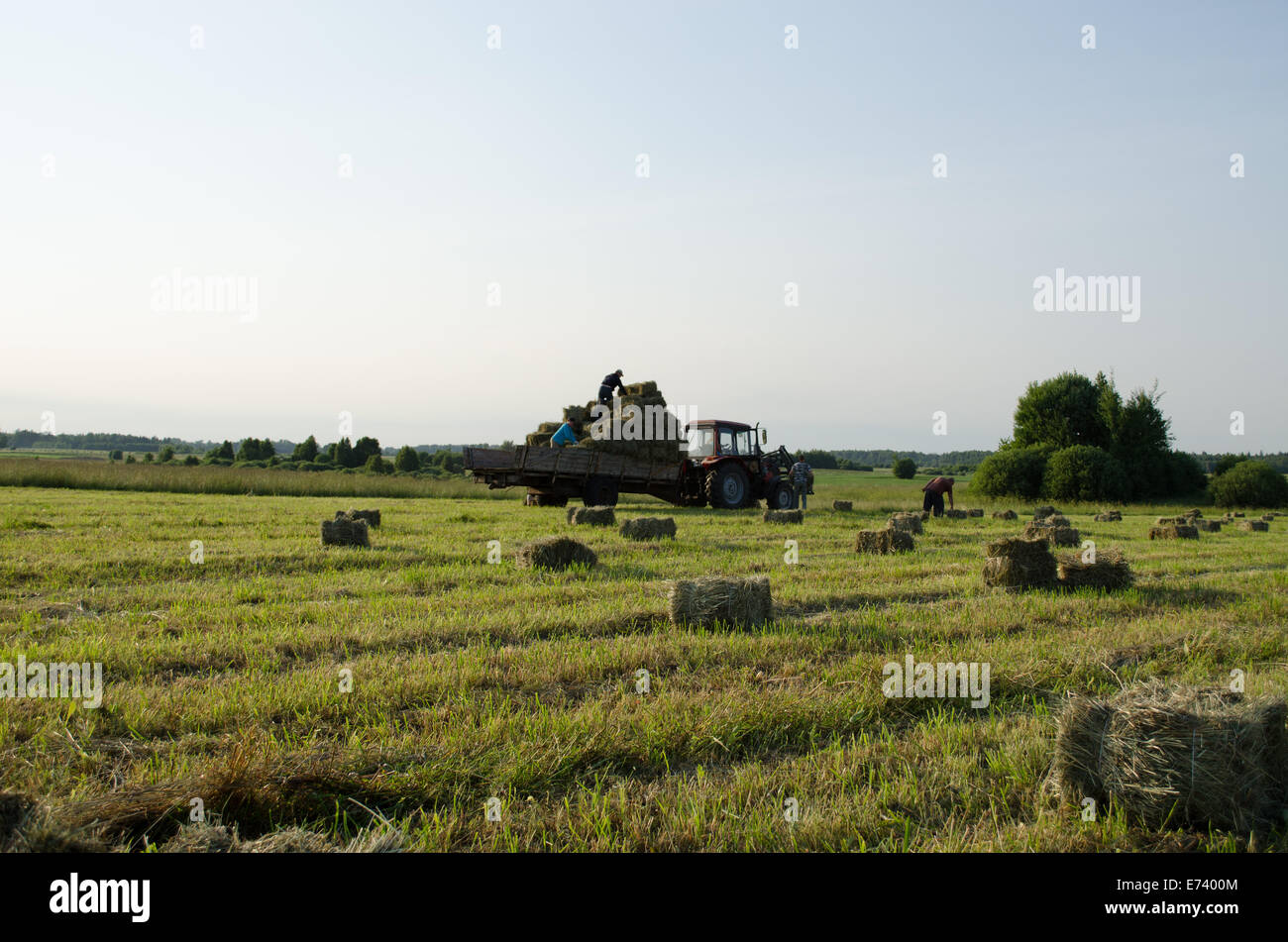 Bales hay trailer grass field hi-res stock photography and images - Alamy