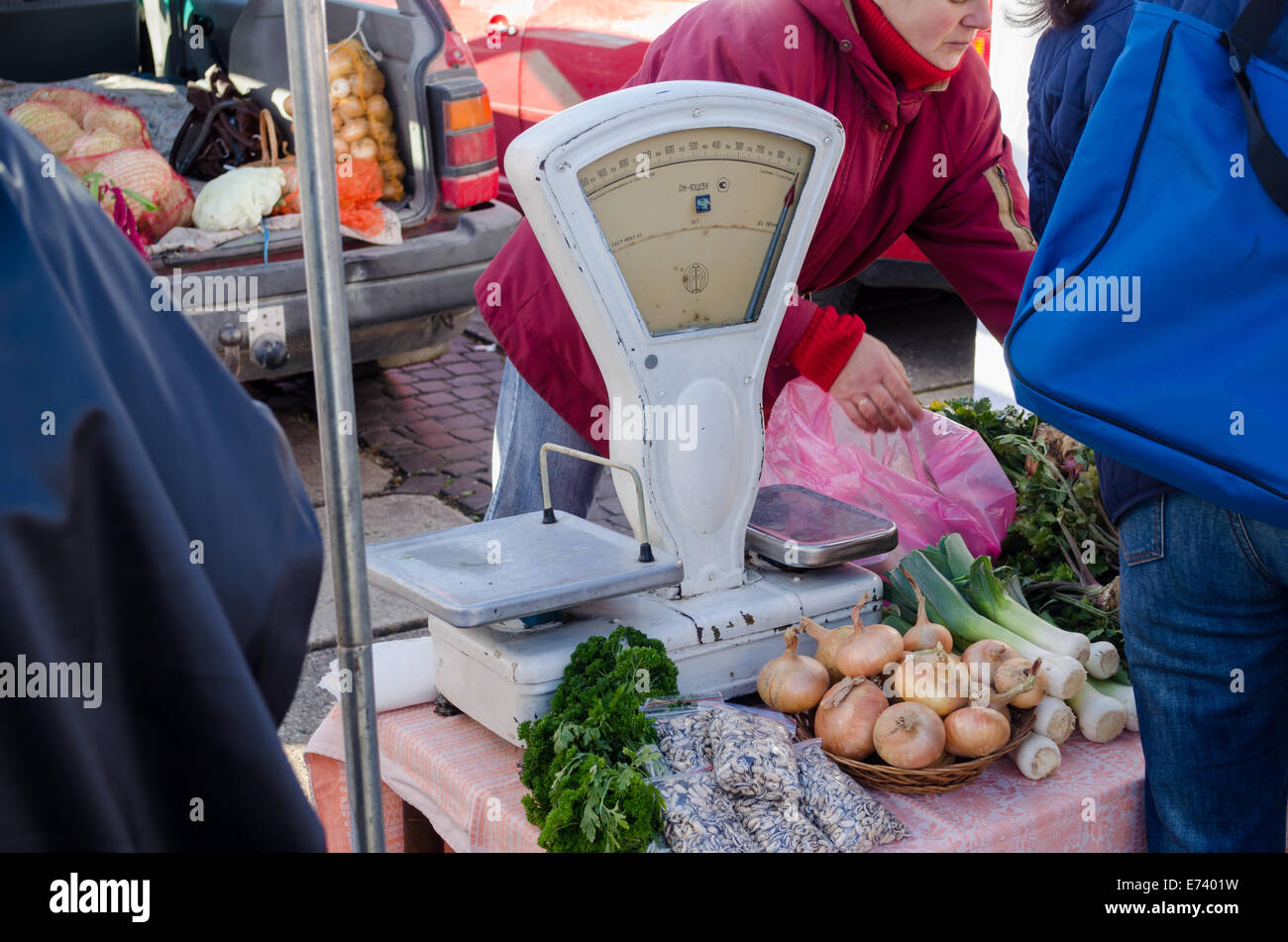 rural big scale and various autumn harvest vegetable on market stall ...