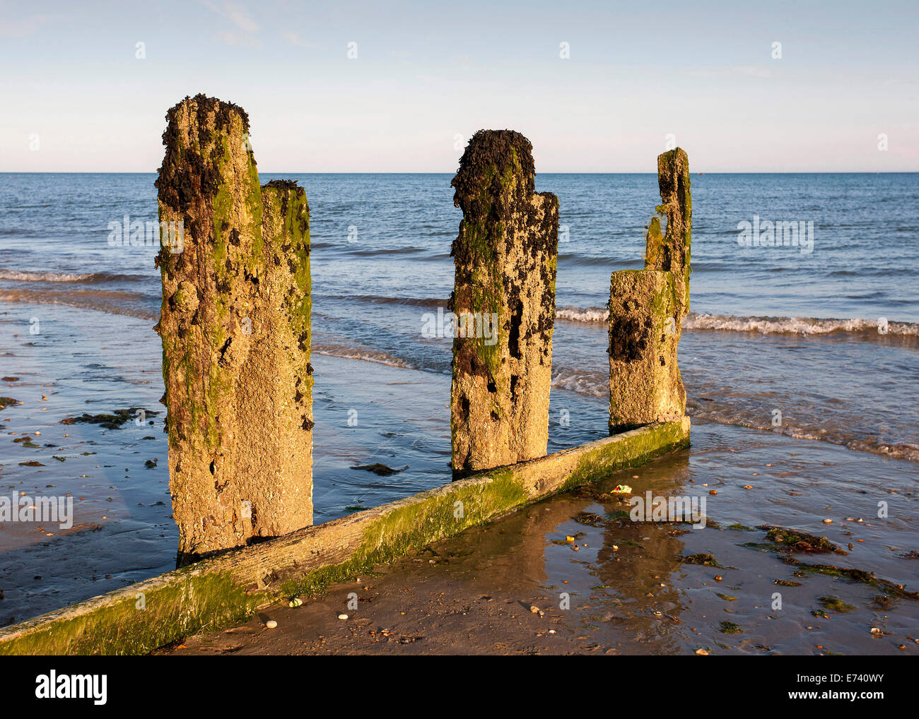 wood sea defence defense sculpture Stock Photo - Alamy