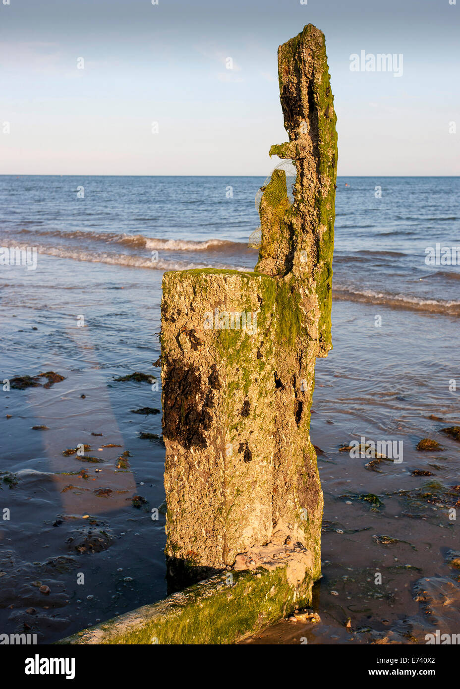 wood sea defence defense sculpture Stock Photo - Alamy