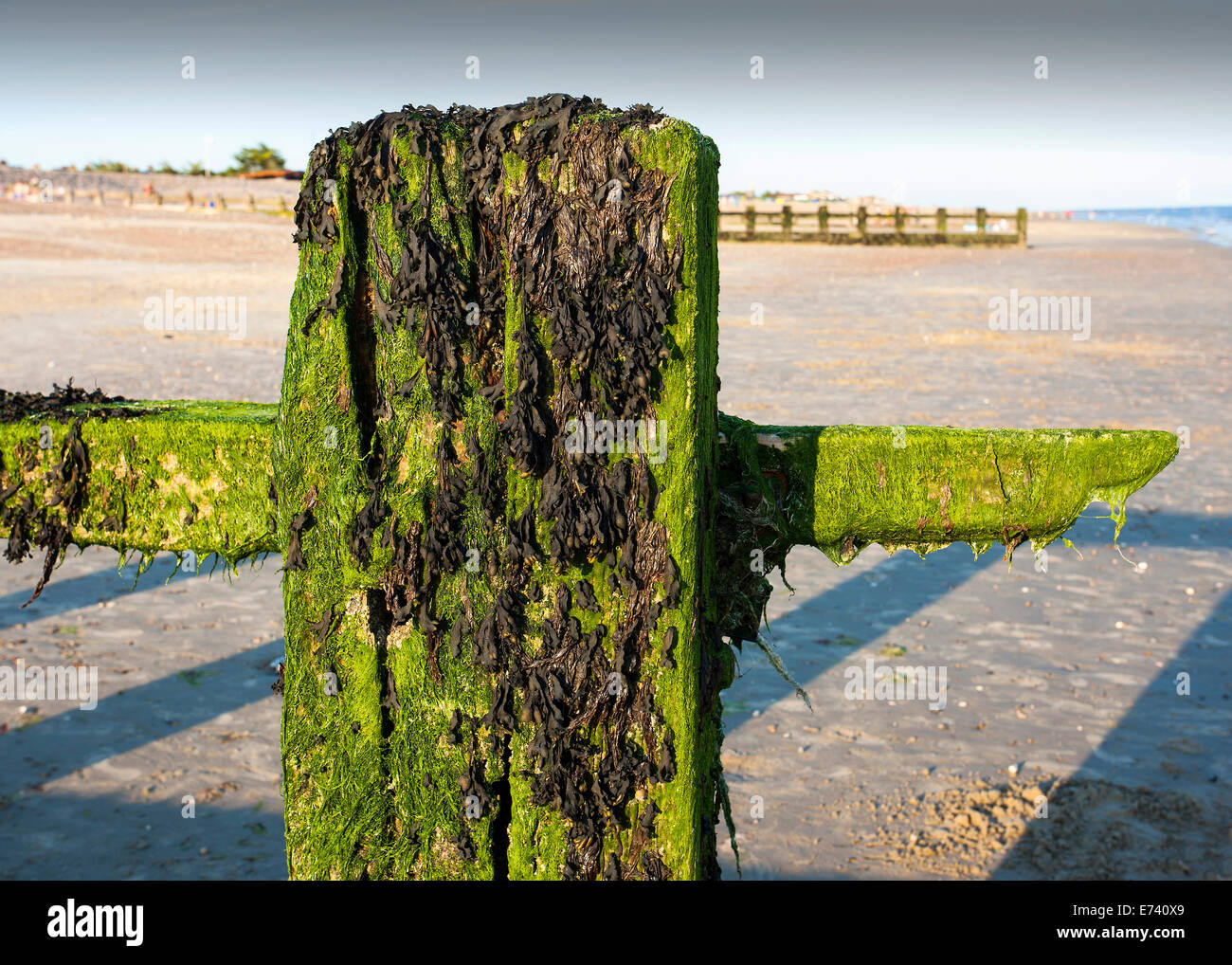 wood sea defence defense sculpture Stock Photo - Alamy