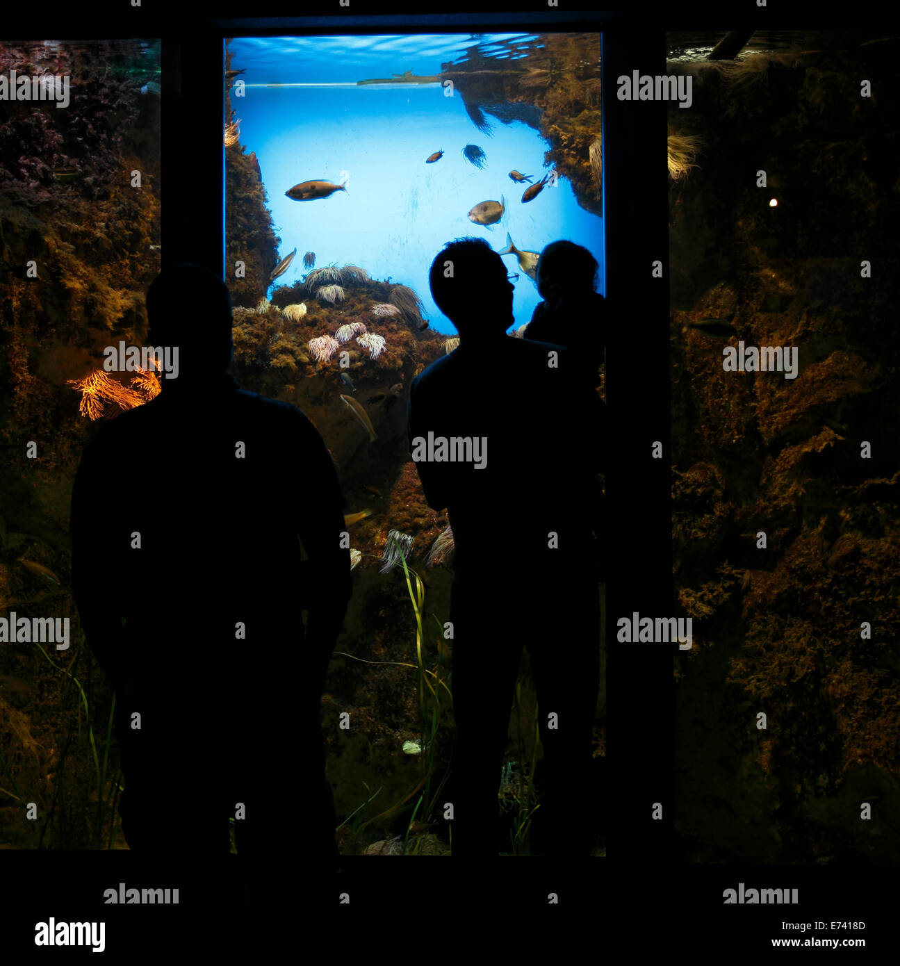 Grand Aquarium St Malo. Brittany, France Stock Photo - Alamy