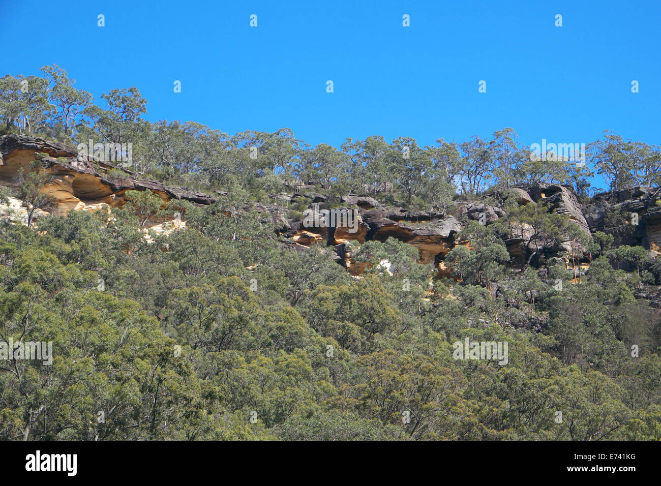 sydney sandstone is the common name for sydney basin hawkesbury ...