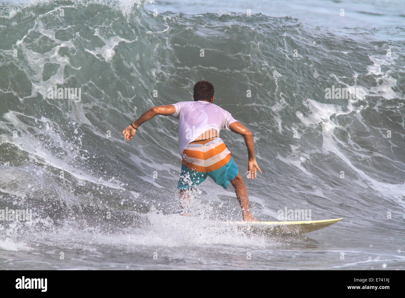 Surfing in Sri Lanka Stock Photo - Alamy