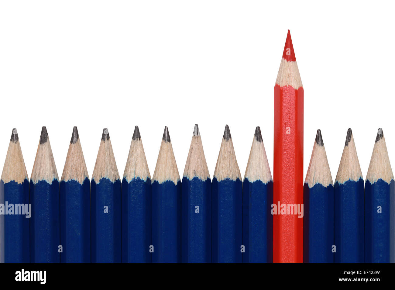 Blue pencils and one red crayon standing out from the crowd. Isolated ...