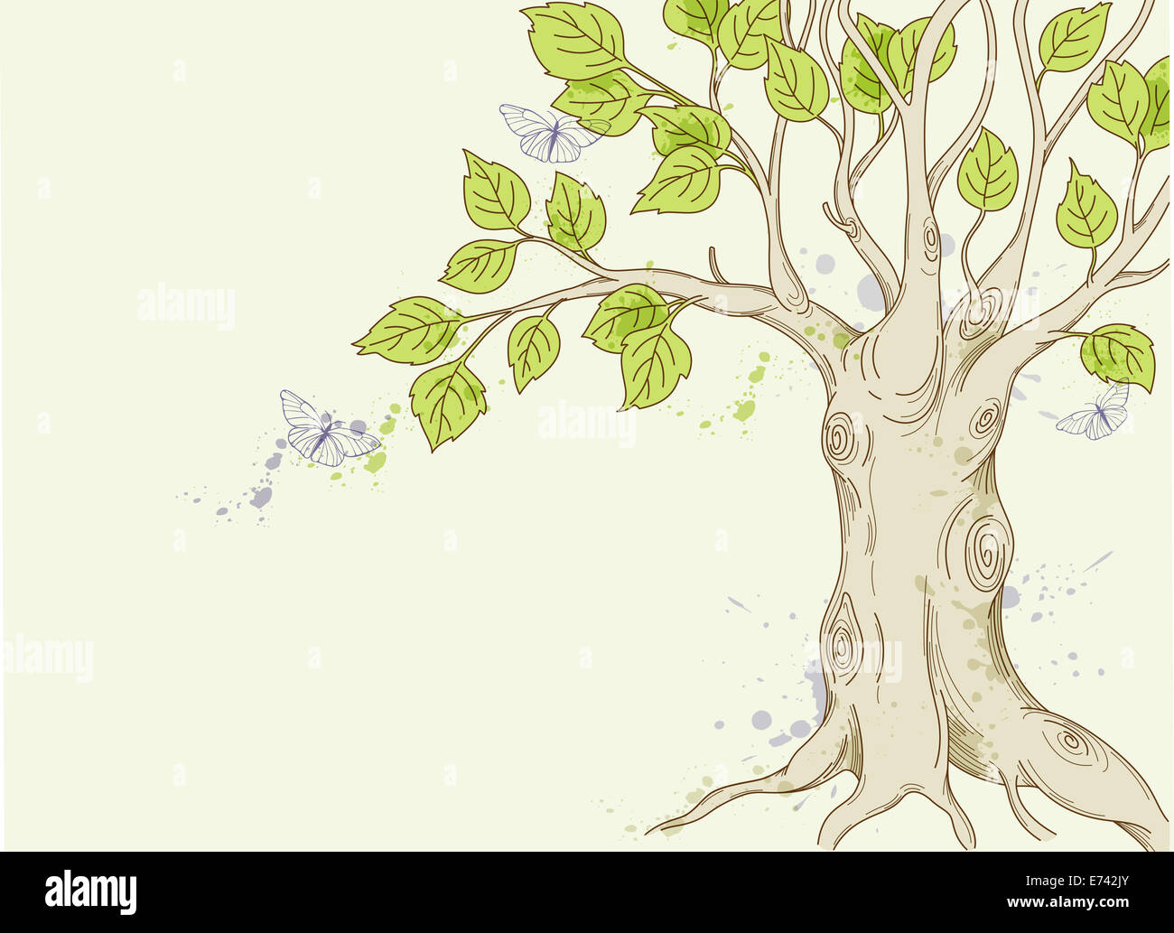 hand drawn tree with green leaves Stock Photo - Alamy
