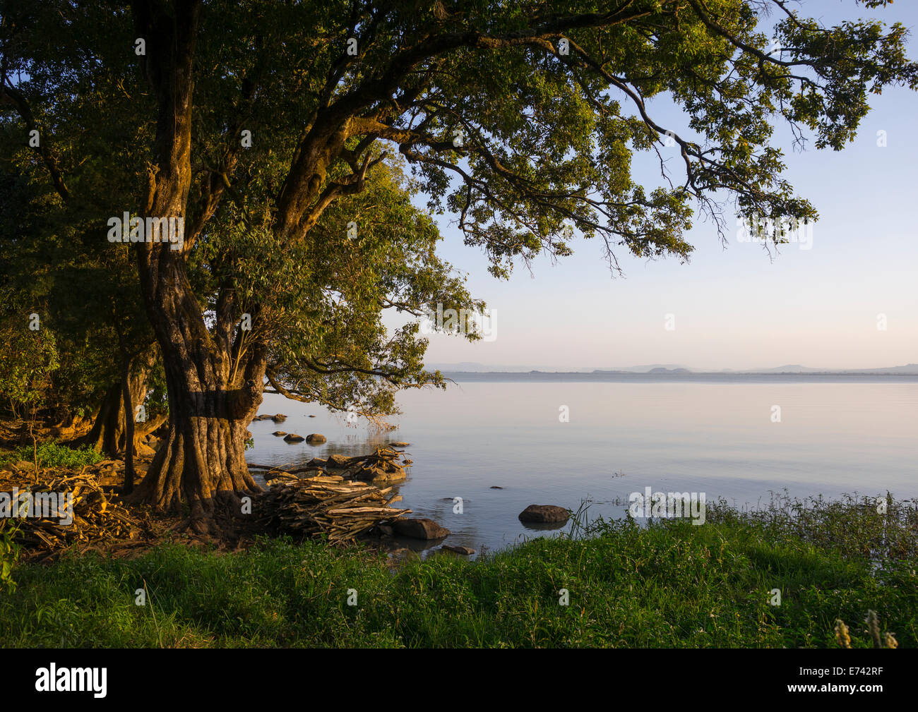 Lake Tana, Bahir Dar, Ethiopia Stock Photo - Alamy