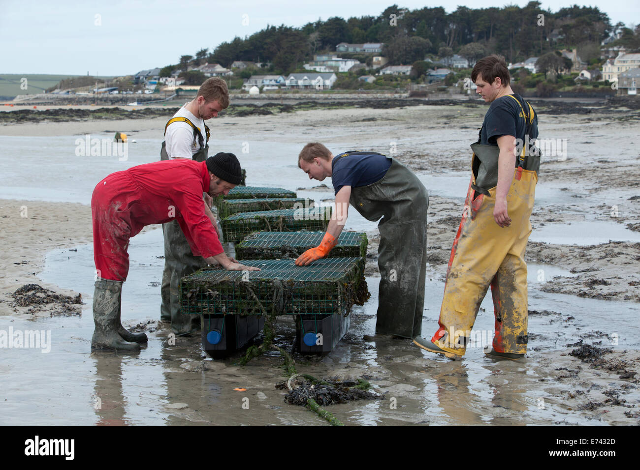Oysters racks hi-res stock photography and images - Alamy