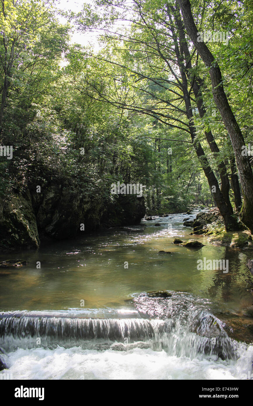 Moravica High Resolution Stock Photography and Images - Alamy