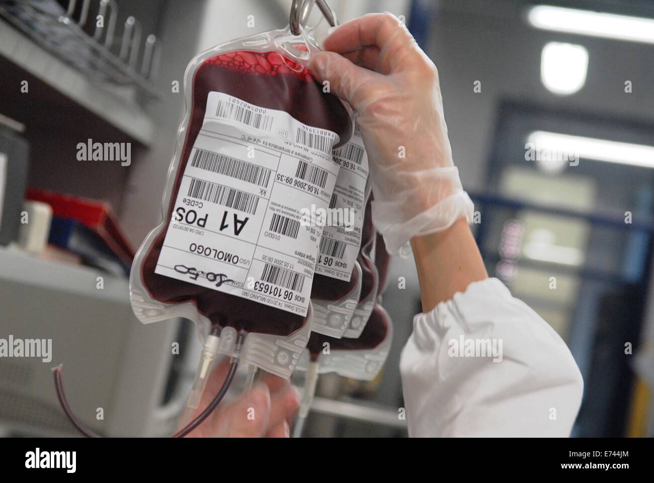 Sacco Hospital of Milan (Italy), unit of Immunohematology and ...