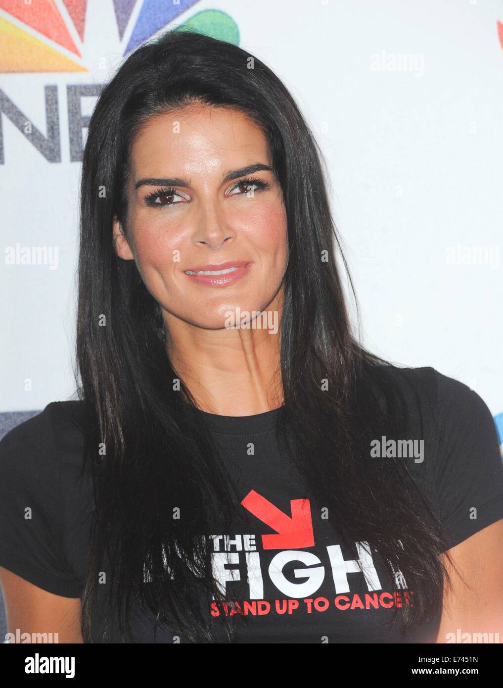 Los Angeles, CA, USA. 5th Sep, 2014. Angie Harmon at arrivals for STAND ...