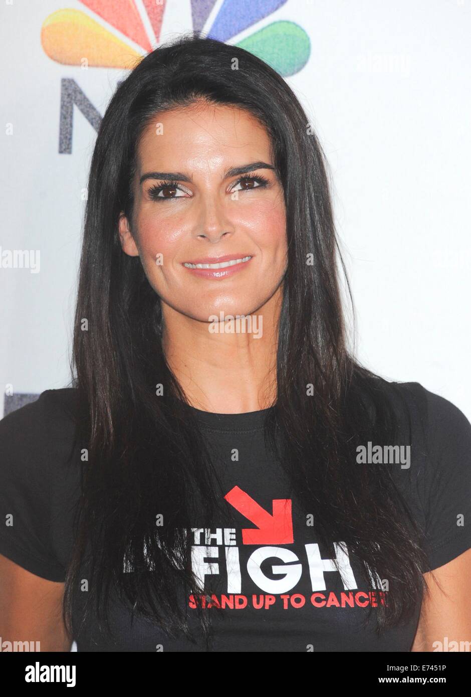 Los Angeles, CA, USA. 5th Sep, 2014. Angie Harmon at arrivals for STAND ...