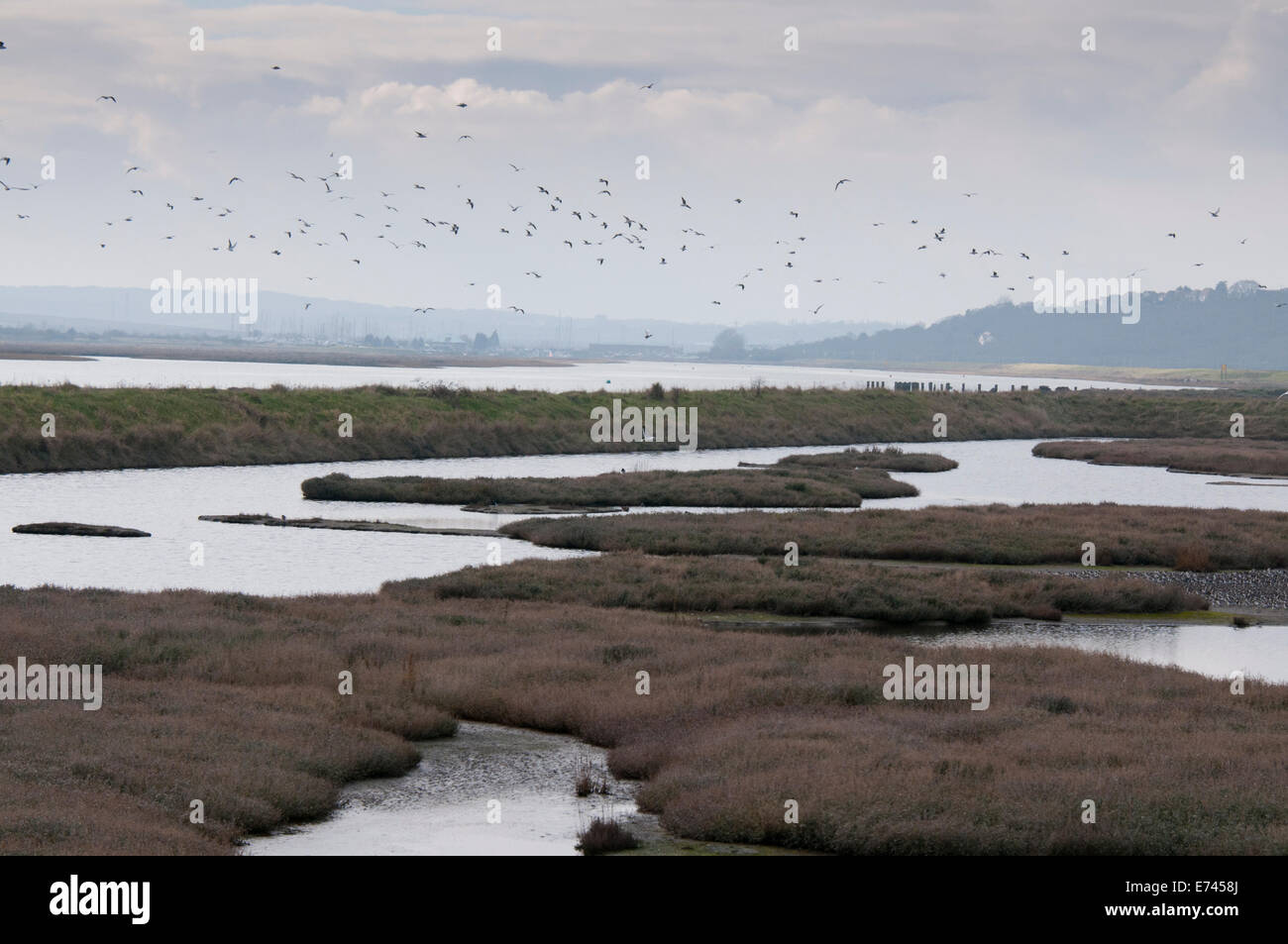 Two tree island essex hi-res stock photography and images - Alamy