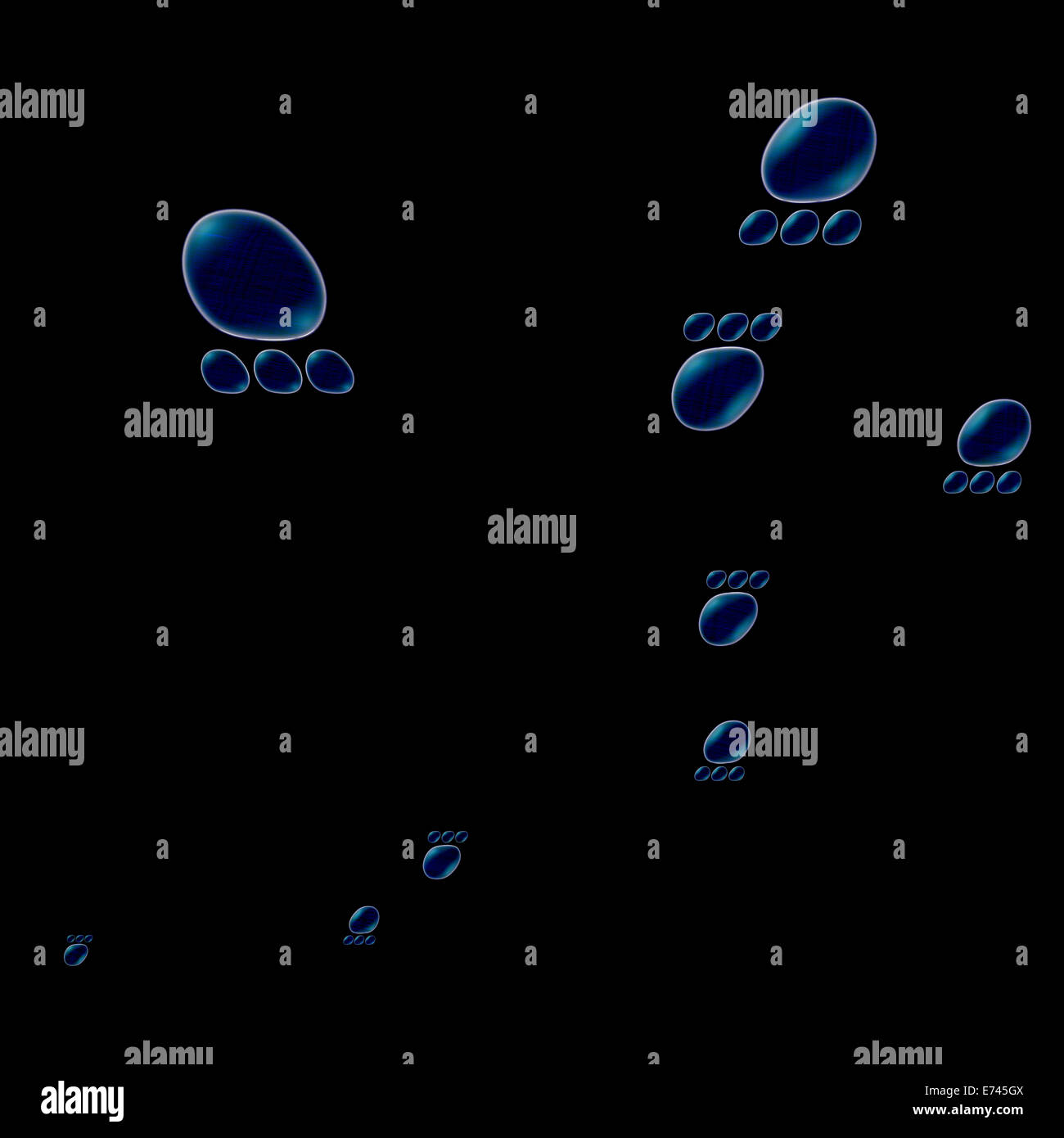 Dog footprint hi-res stock photography and images - Alamy