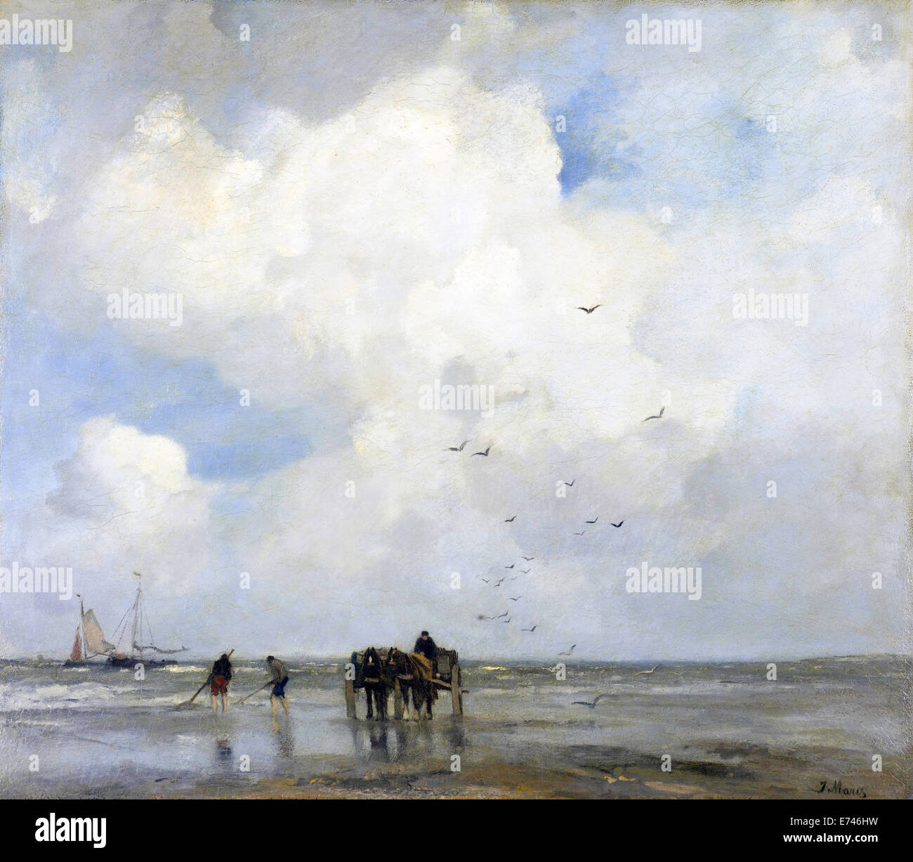 Jacob shell hi-res stock photography and images - Alamy