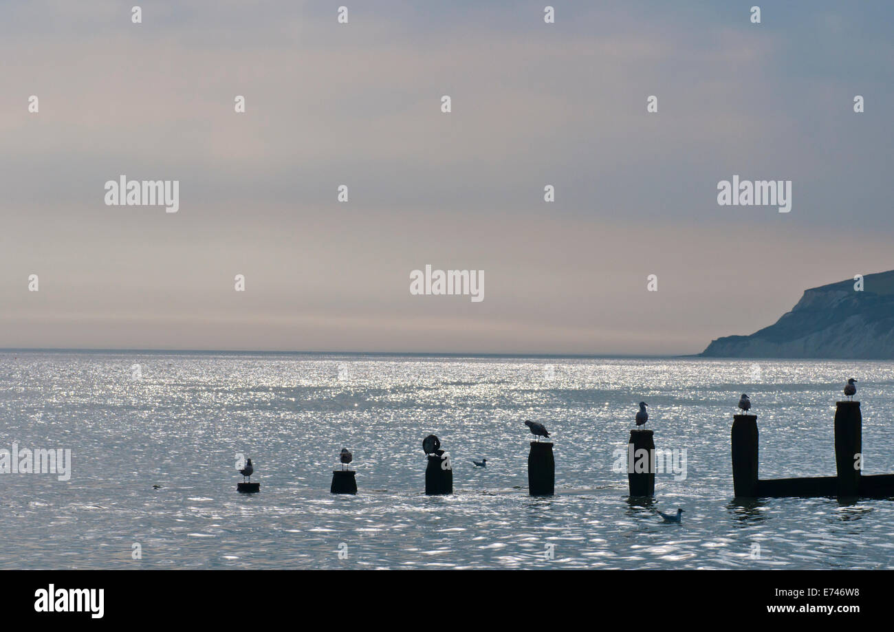 Submerged groyne hi-res stock photography and images - Alamy