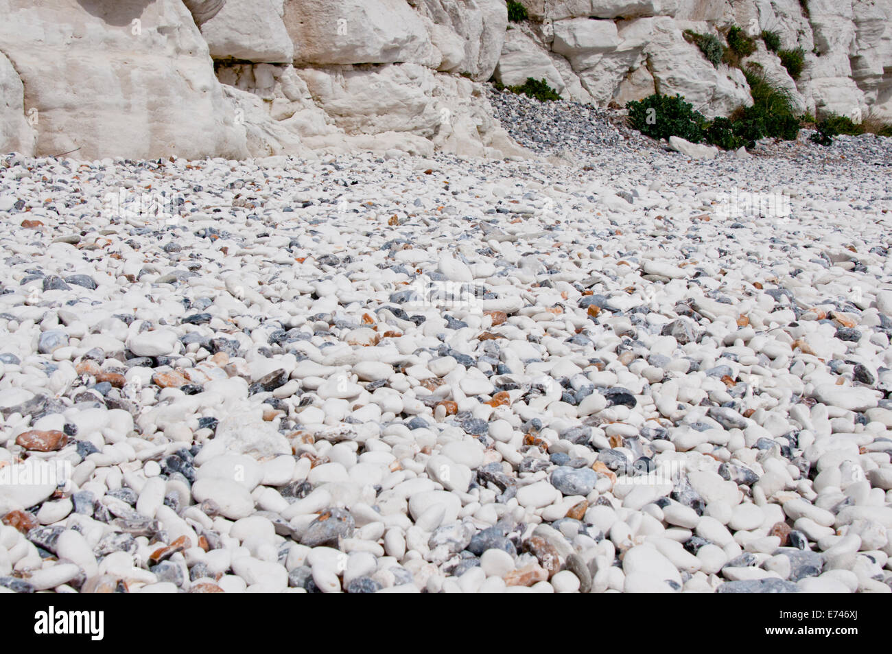 Shingle consisting mainly of chalk pebbles post the winter storms Stock ...