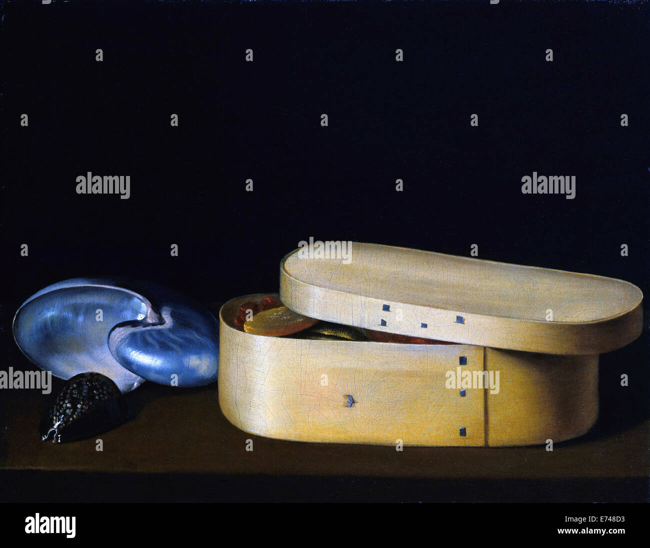 Shell still life painting hi-res stock photography and images - Alamy