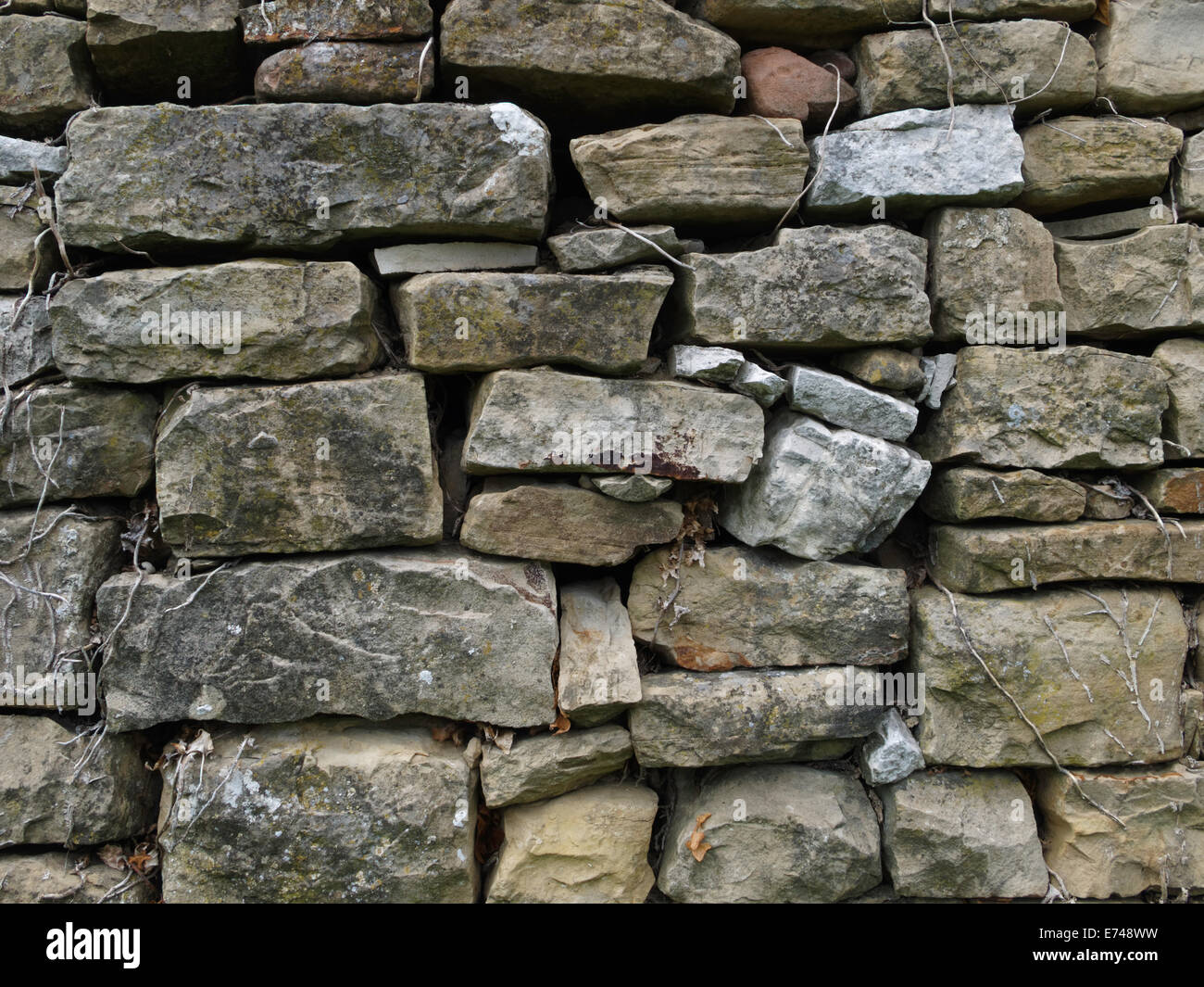 Detail of traditionally built stone wall from Istria, Croatia Stock ...